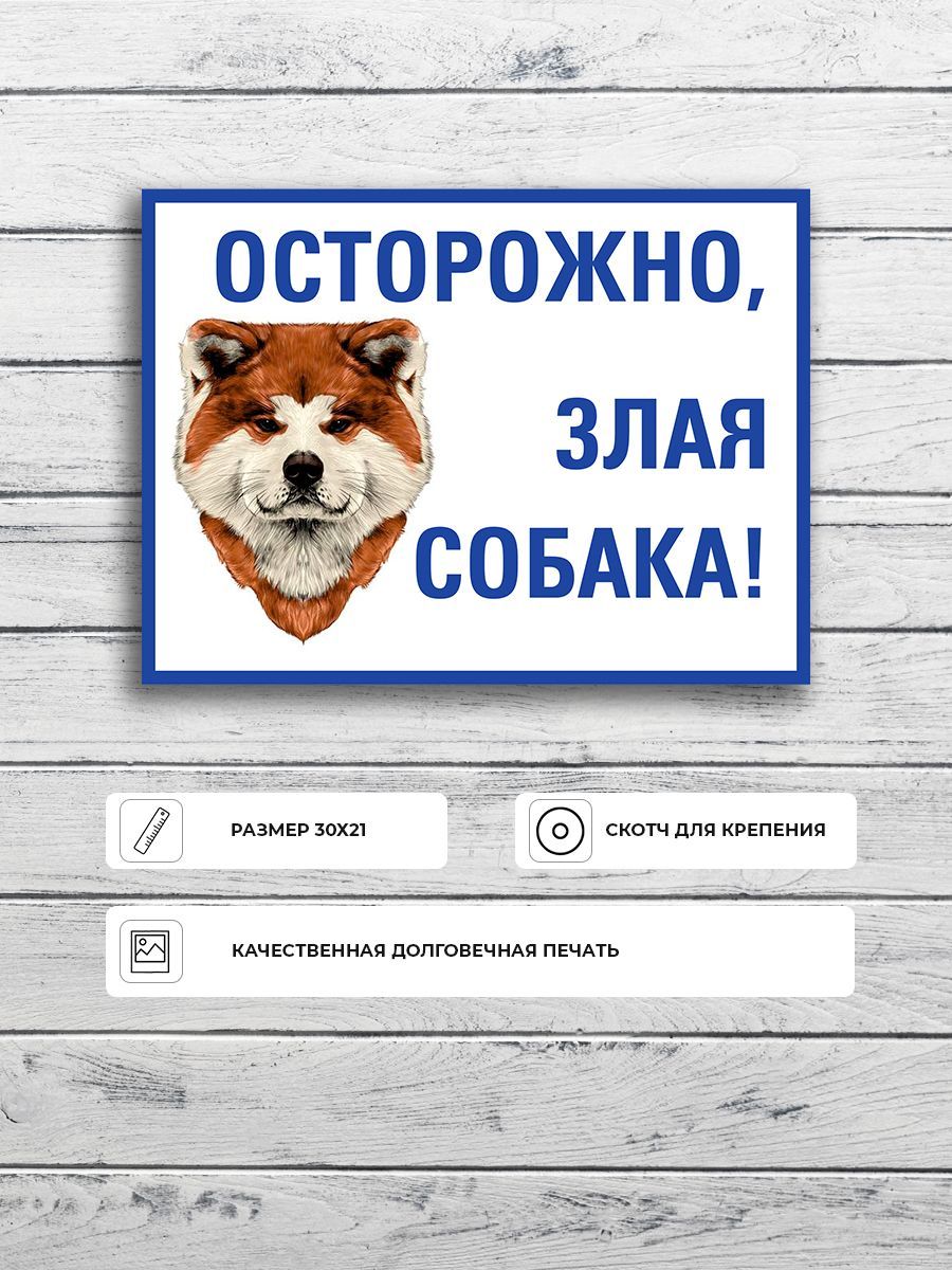 Табличка "Осторожно злая собака Акита-ину" (бело-синяя) А5 (20х15см)