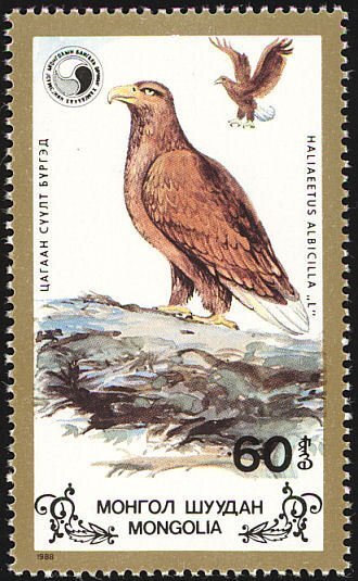 (1988-055) Марка Монголия "Два орлана" Орлан-белохвост III O