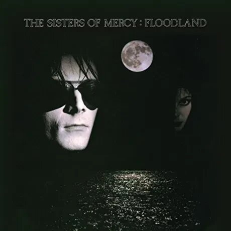 Виниловая пластинка Sisters Of Mercy – Floodland
