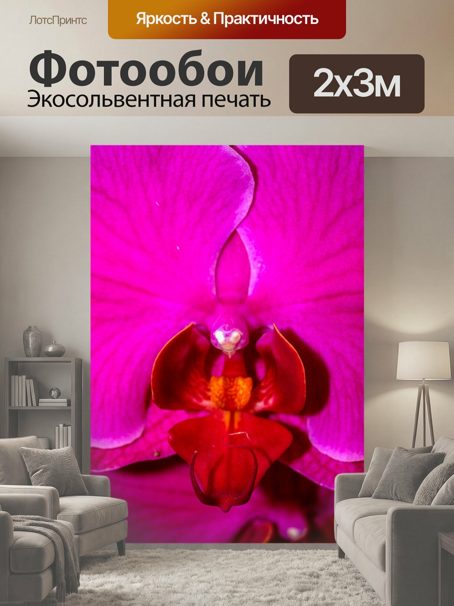 Фотообои "Цветок орхидеи Цветок орхидеи орхидея цветочный фиолетовый флора фон цветок розовый красота прекрасный природа ботаника." 200x300 см. экосольвентная печать