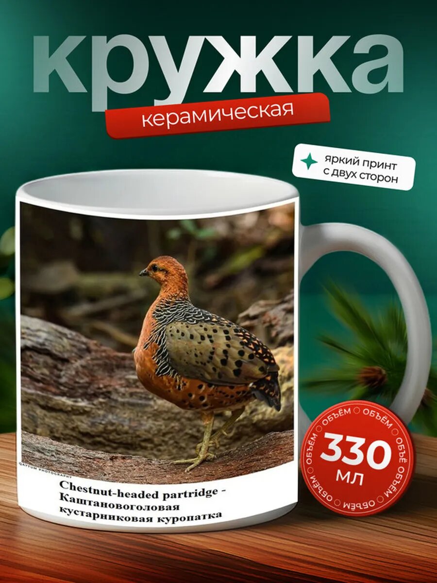 Кружка Куропатка птица 2,