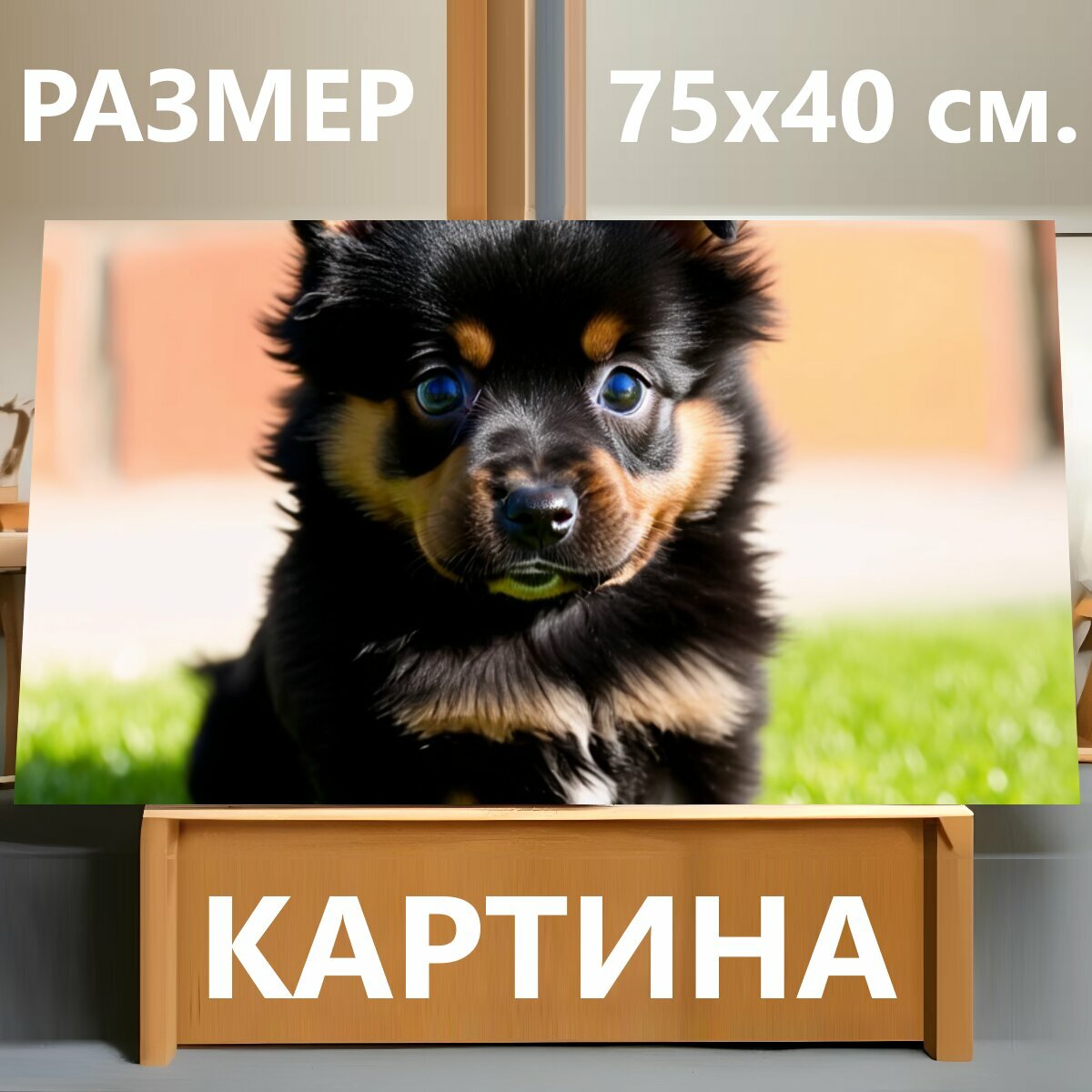 Картина на холсте "Черный шпиц puppy, маленький, пушистый, с большими глазами, уши стоят, на зеленой траве, размытый фон, кирпичная стена, солнечный свет" на подрамнике 75х40 см. для интерьера
