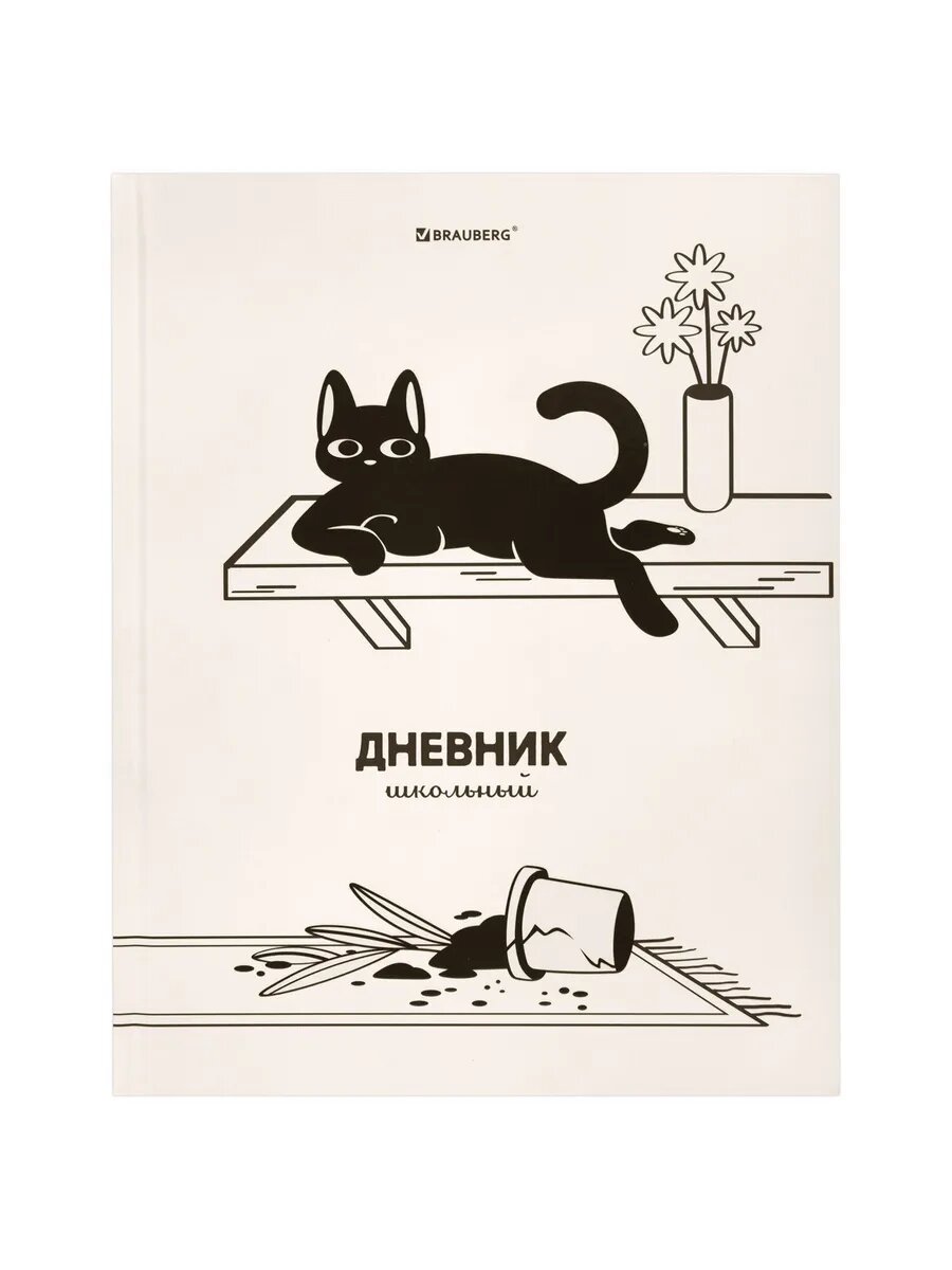 Дневник школьный 5-11 класс 48 листов твердый