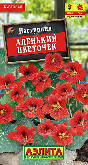 Семена Настурции Аэлита "Аленький цветочек", низкорослая, до 40см, для цветников и вазонов