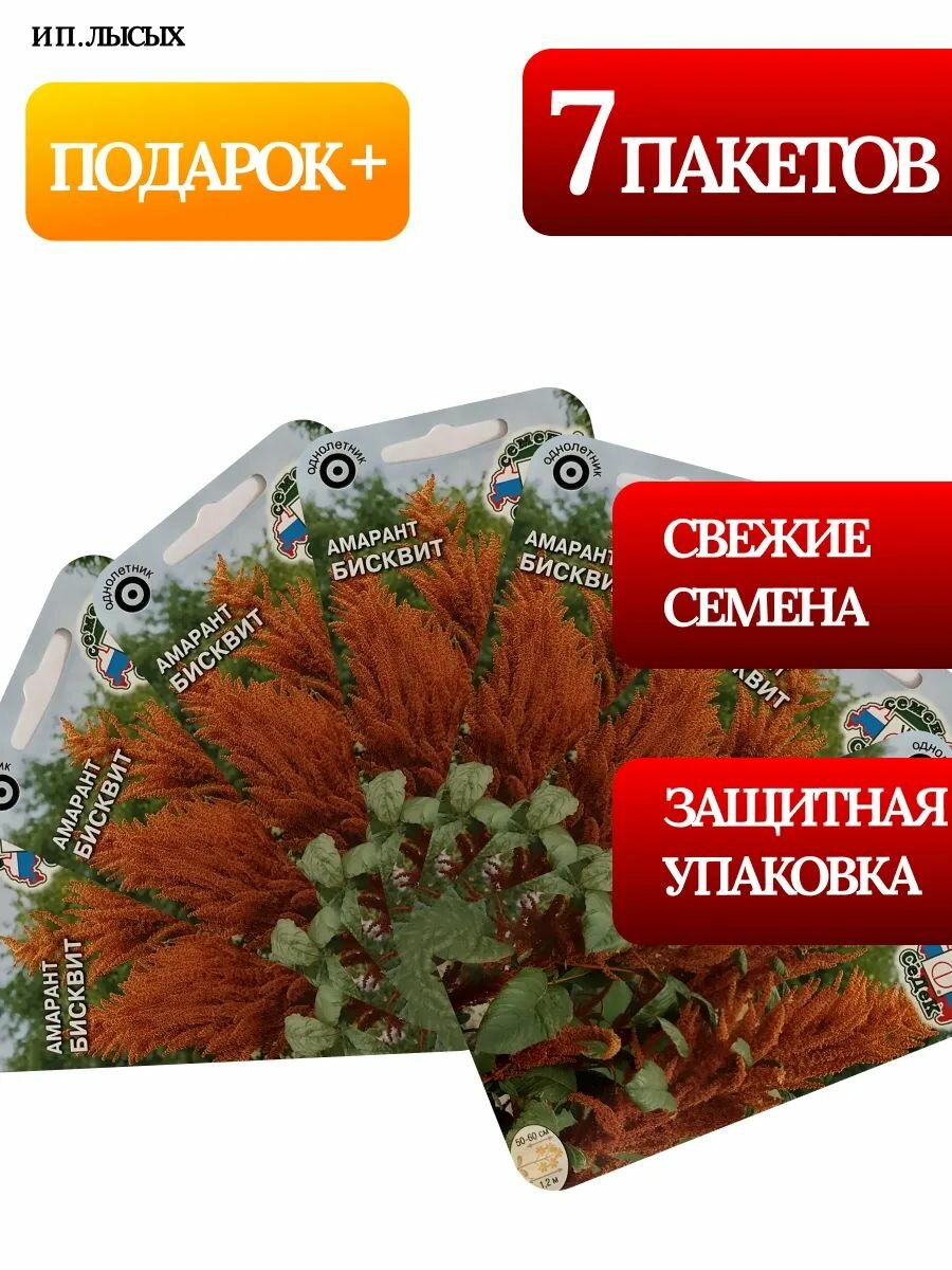 Семена Амарант "Бисквит"