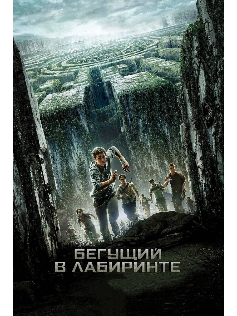 Бегущий в лабиринте (2014) (DVD-R)