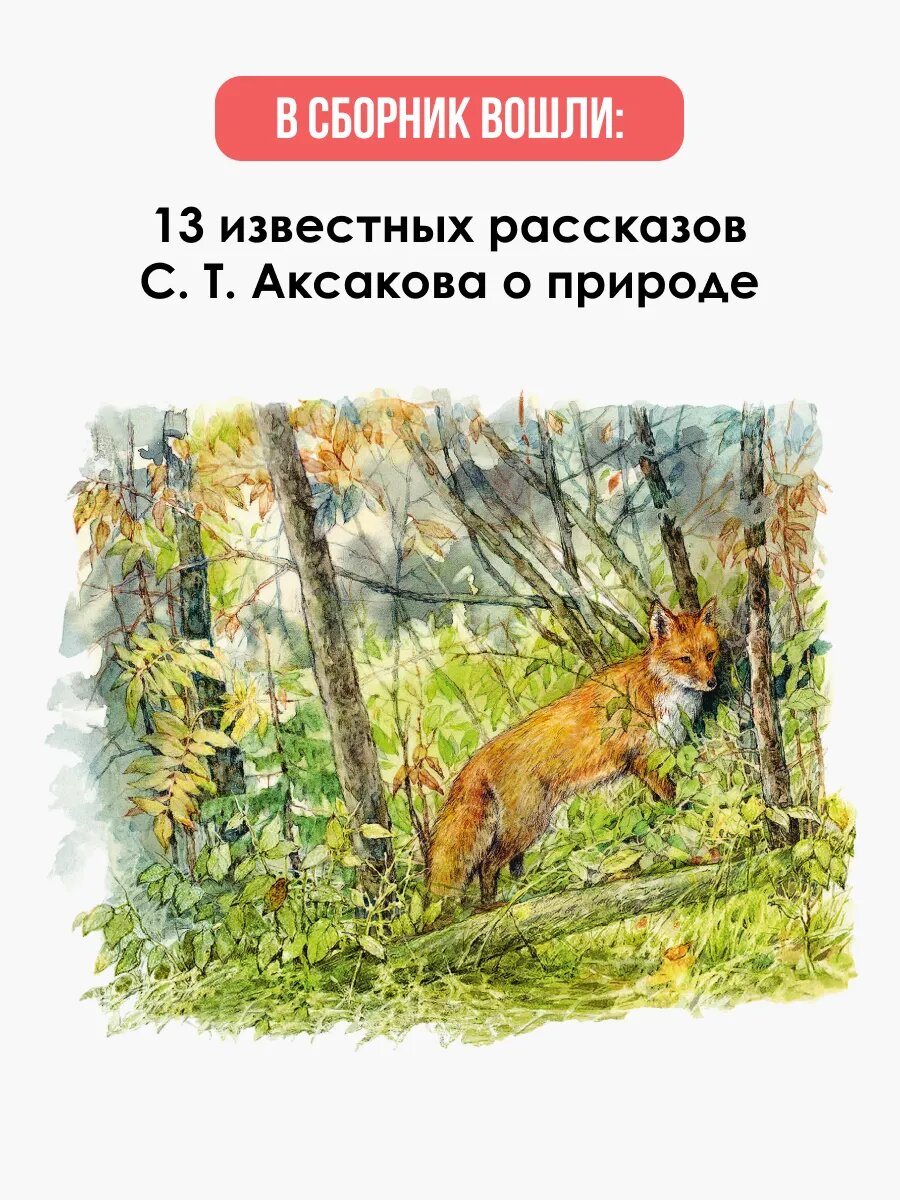 Рассказы о природе — фото 1