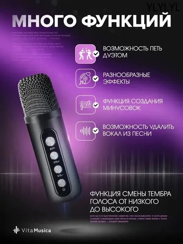 Караоке-система Vita Musica с двумя беспроводными микрофонами, портативная, с функцией дуэта
