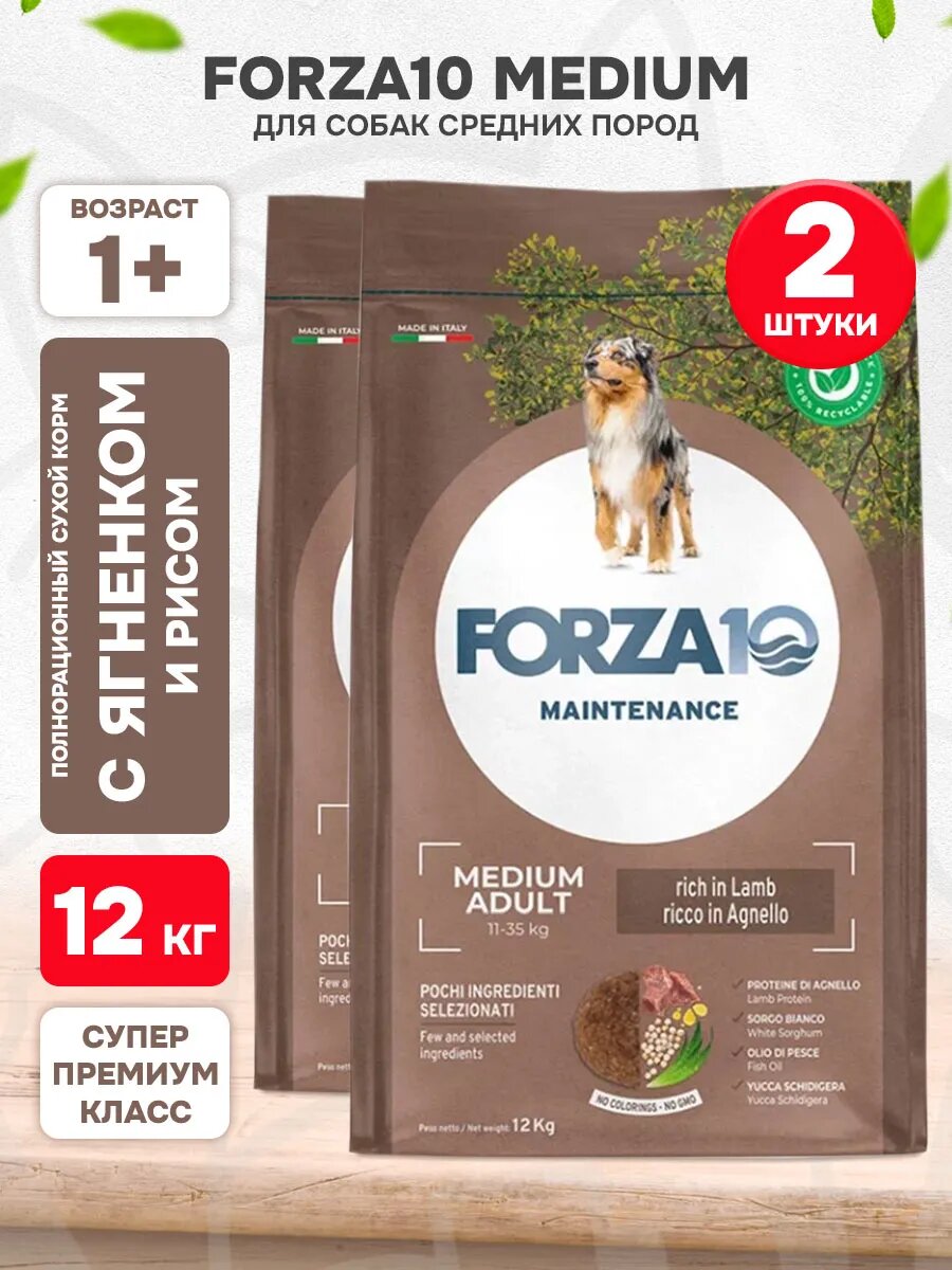 Корм сухой Forza10 Dog Maintenance Adult Medium для взрослых собак средних пород с ягненком и рисом, 12 кг х 2 шт