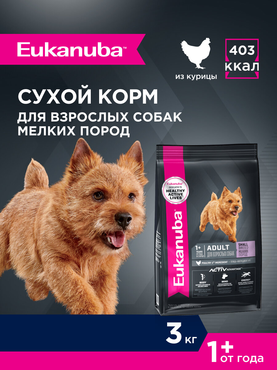 Сухой корм для собак Eukanuba Adult Small Breed для мелких пород , 3 кг