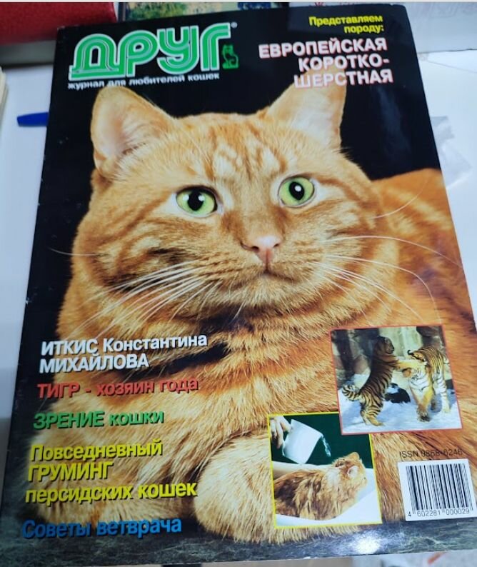 Друг. Журнал для любителей кошек. Европейская короткошерстная
