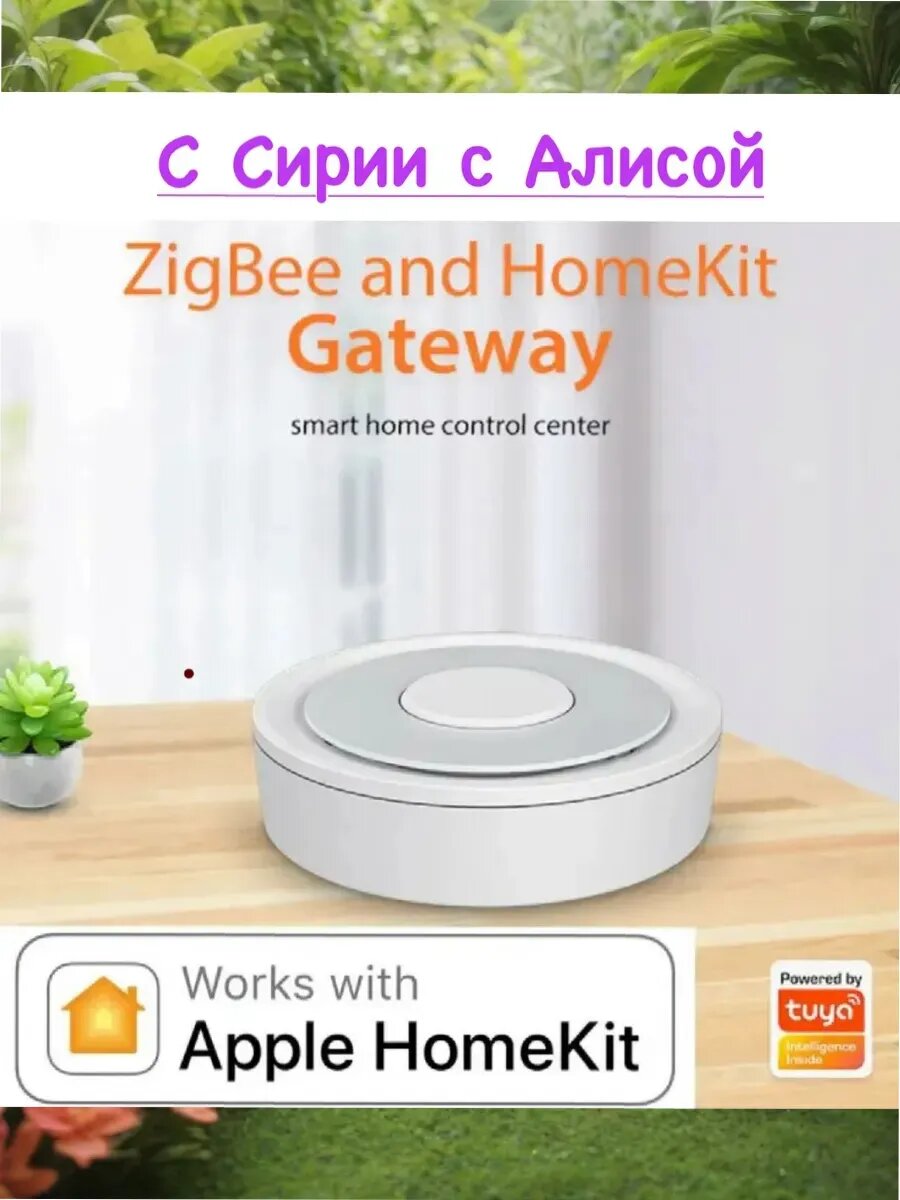 Умный хаб шлюз Zigbee matter Apple Homekit с Сирии