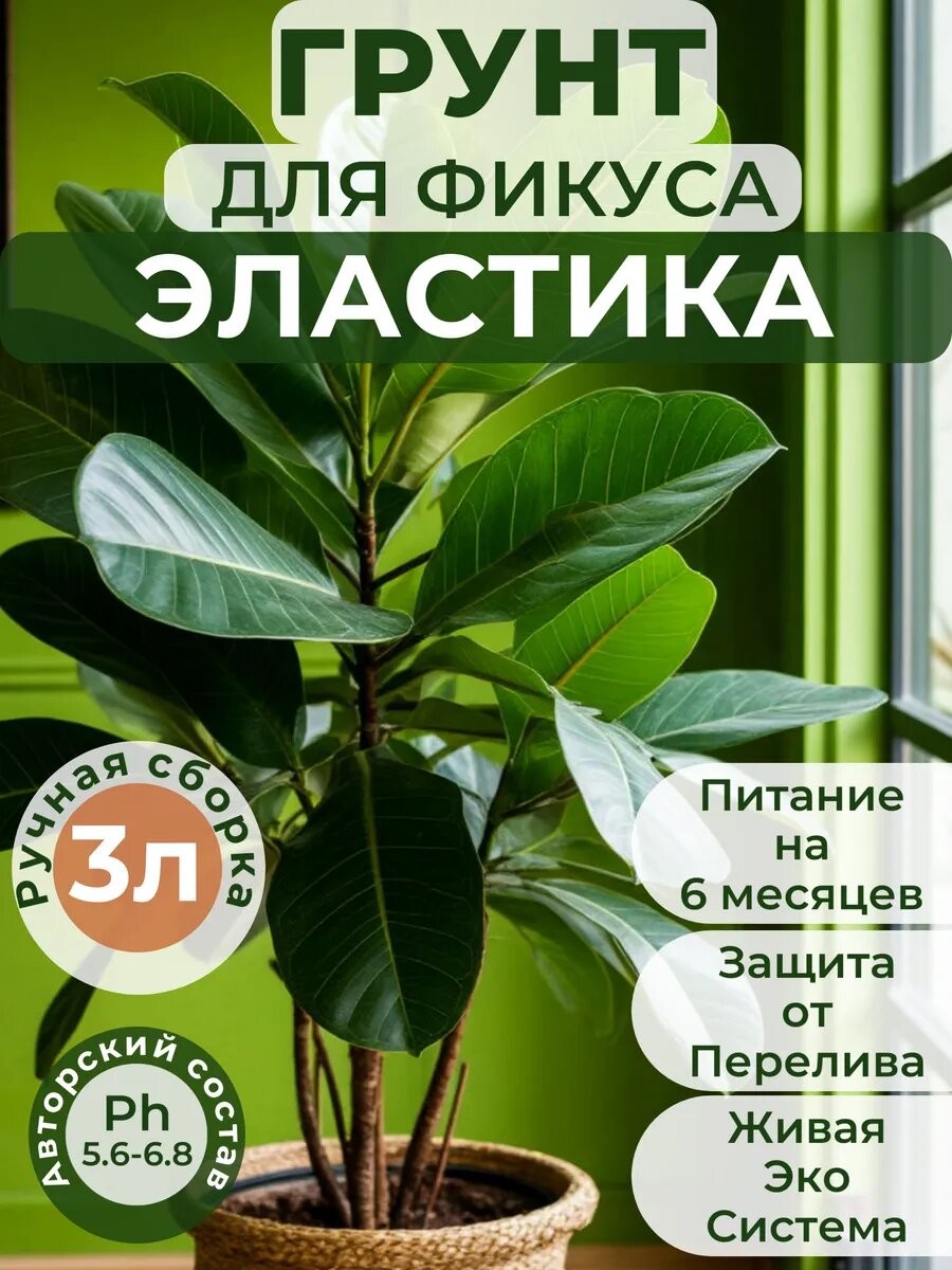 Готовый авторский грунт для Фикуса Эластика, премиум 3 л