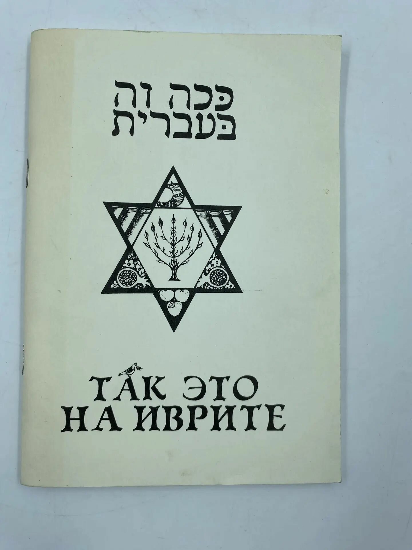 Так это на иврите. Учебный словарь-справочник