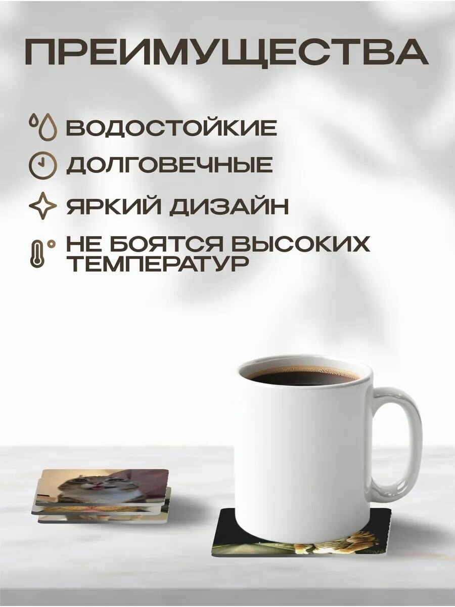 Подставки под горячее Мем котики — фото 1