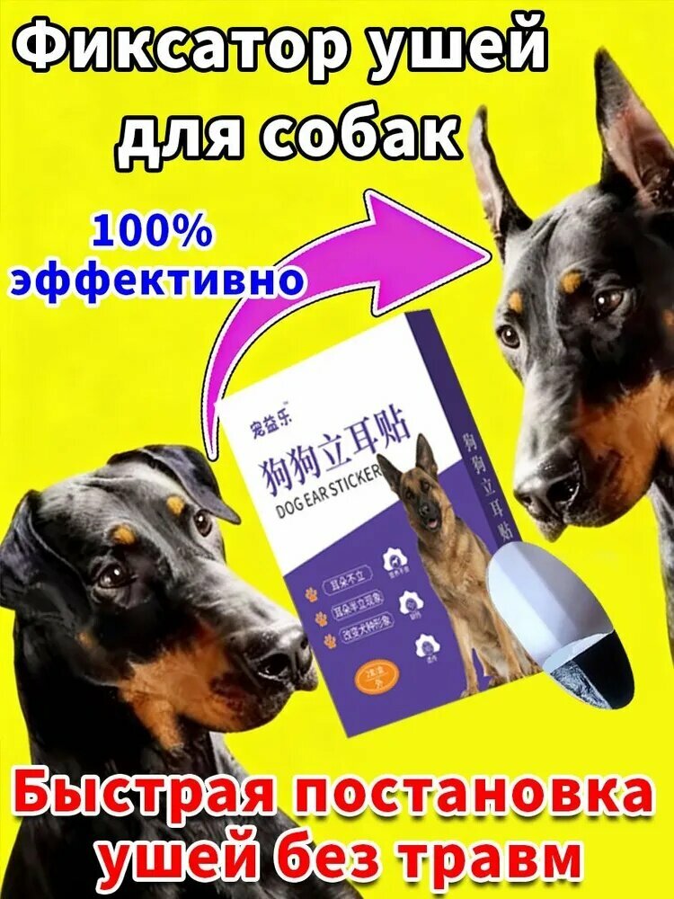 Пластырь для поддержки ушей у собак: мягкая коррекция, защита хряща, быстрый результат