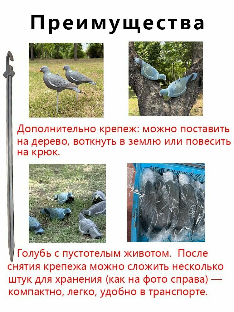 Чучело — фото 1
