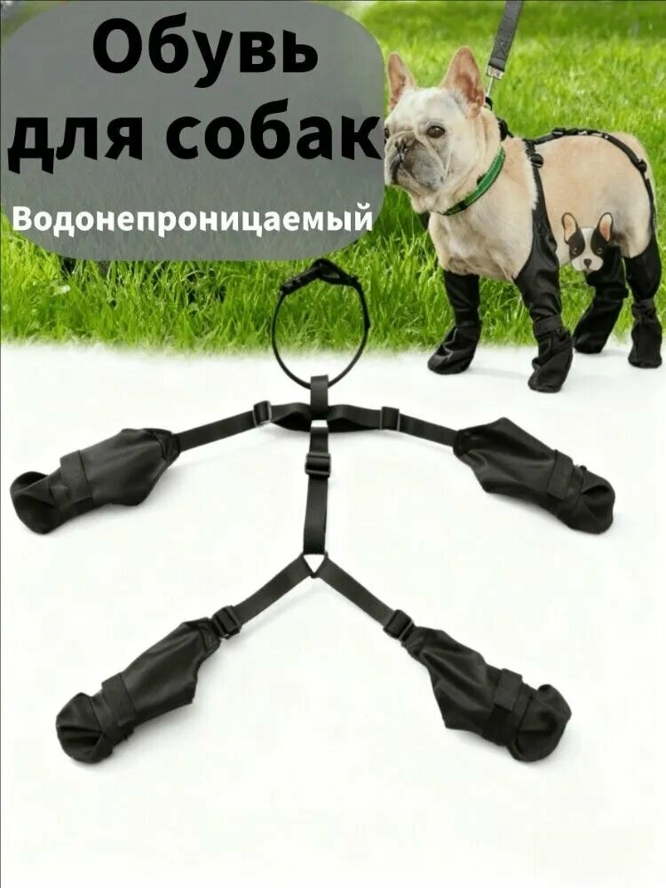 Обувь для собак