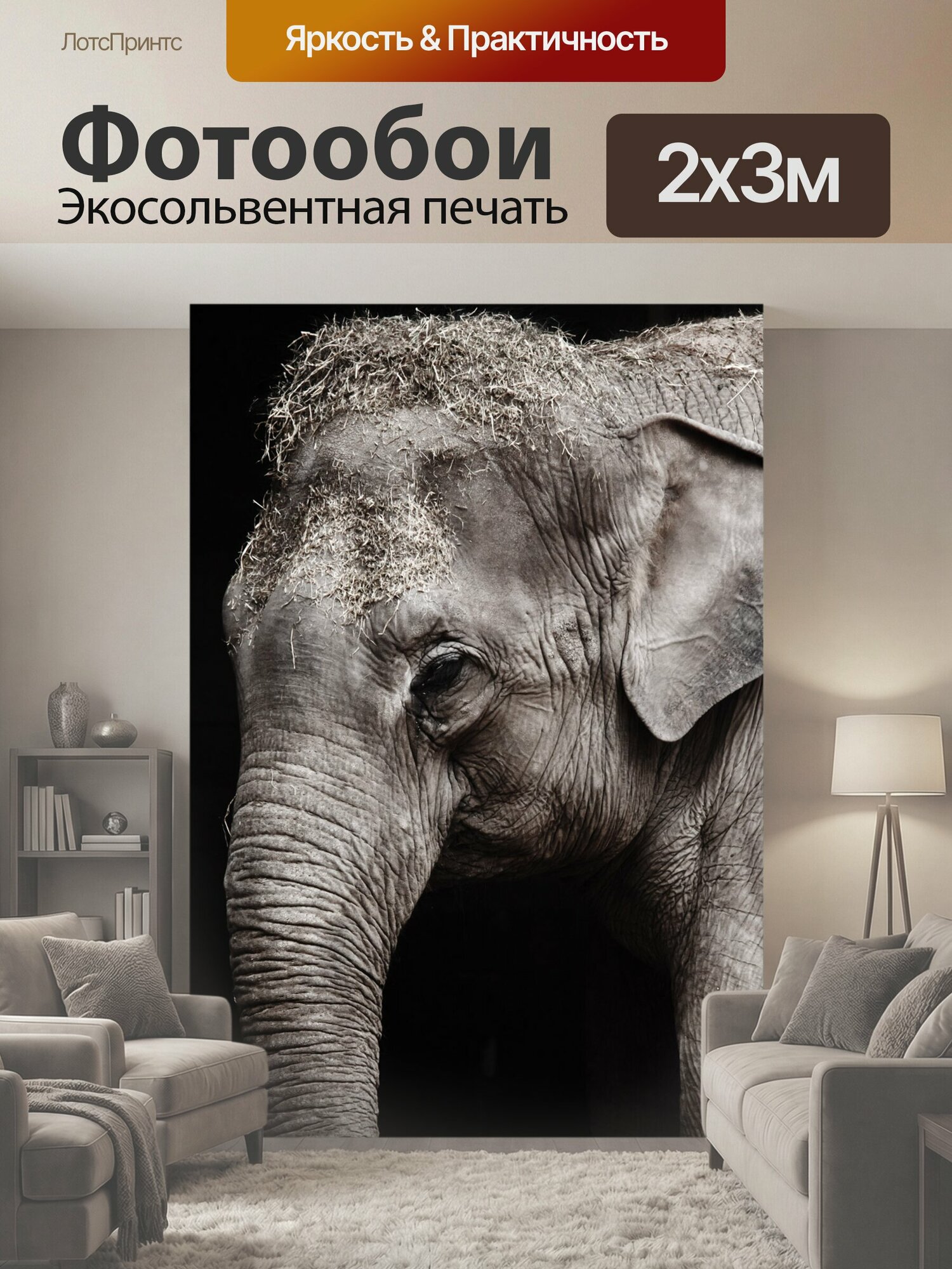 Фотообои "Слон портрет черно-белая фотография слона животных большой черный крупный план деталь слон глаз лица головы большие млекопитающих." 200x300 см. экосольвентная печать