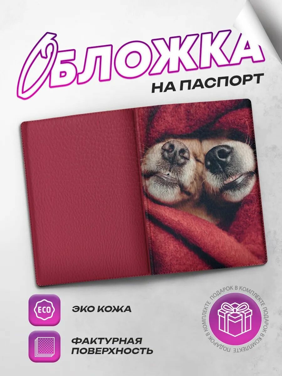Обложка для паспорта