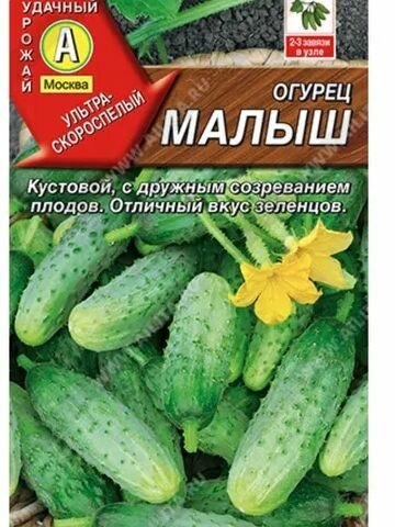 Семена огурцов скороспелых Аэлита Малыш 1шт