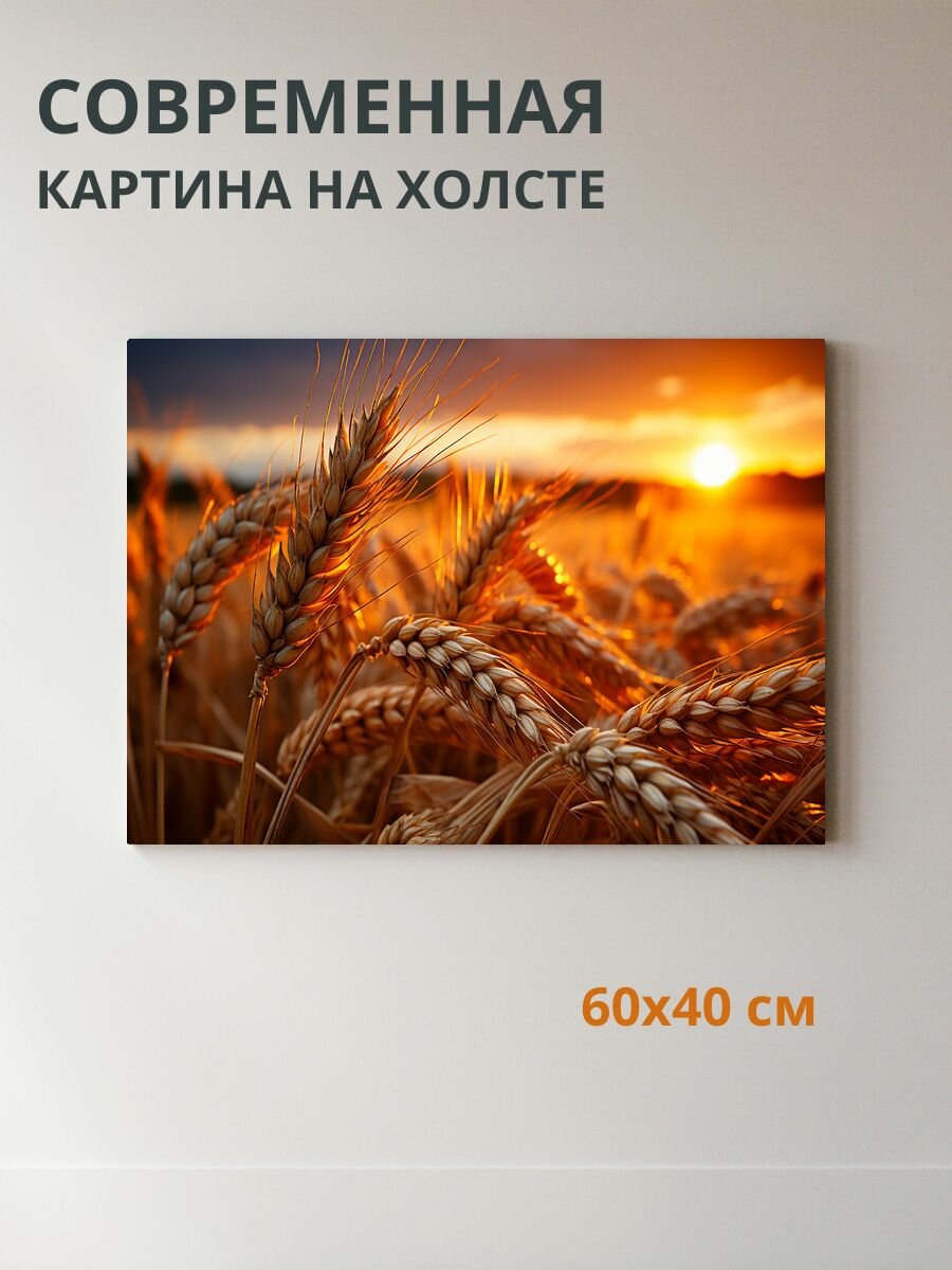 Картина на холсте Пшеничное поле на закате 60x40 см