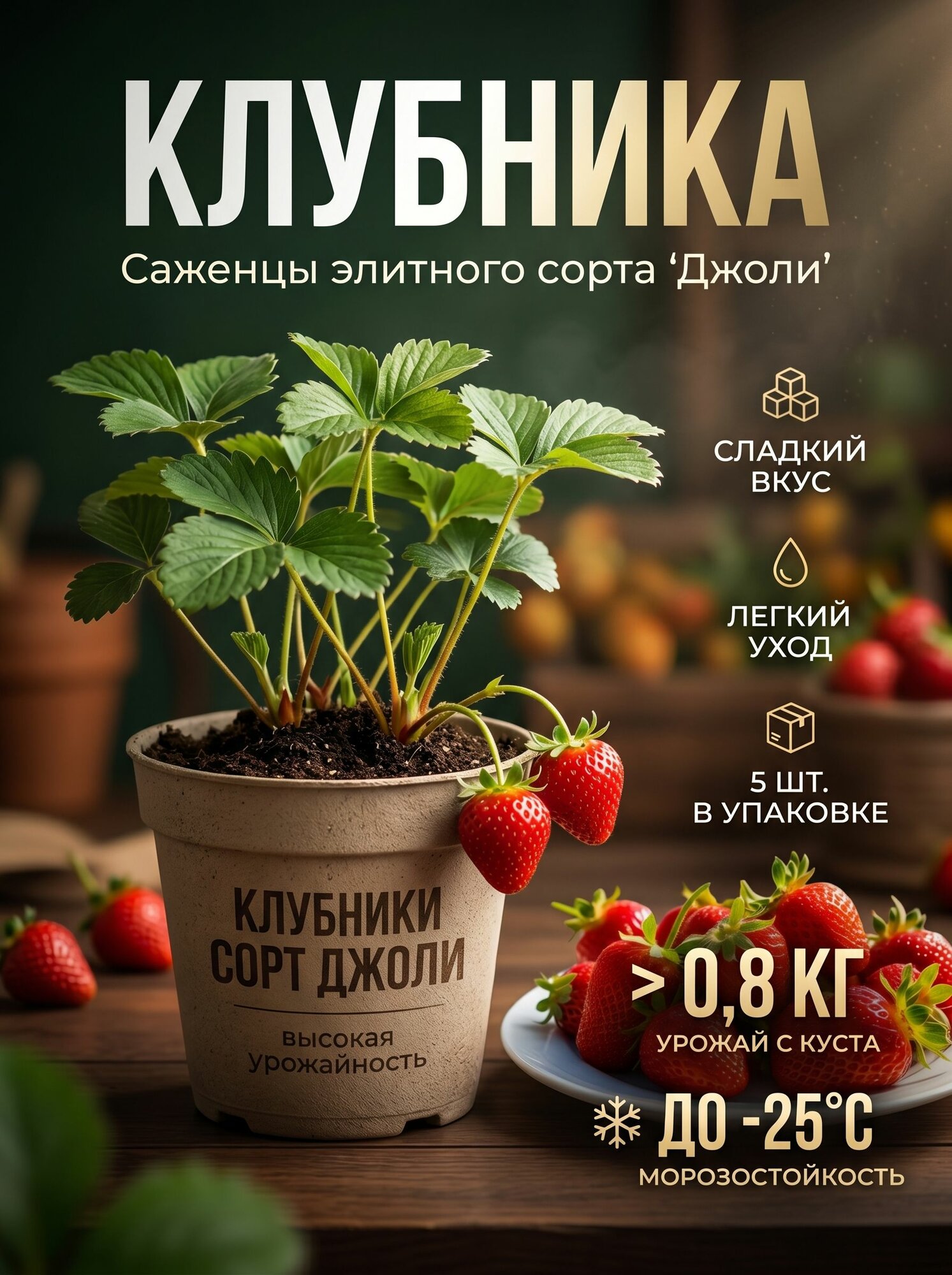 Саженцы клубники джоли 5-шт, доедет хоть куда