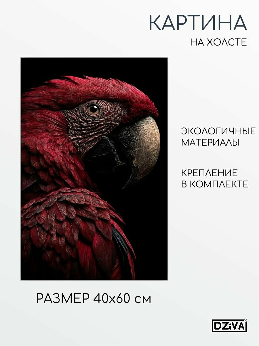 Картина на холсте Попугай и перья 40x60 см