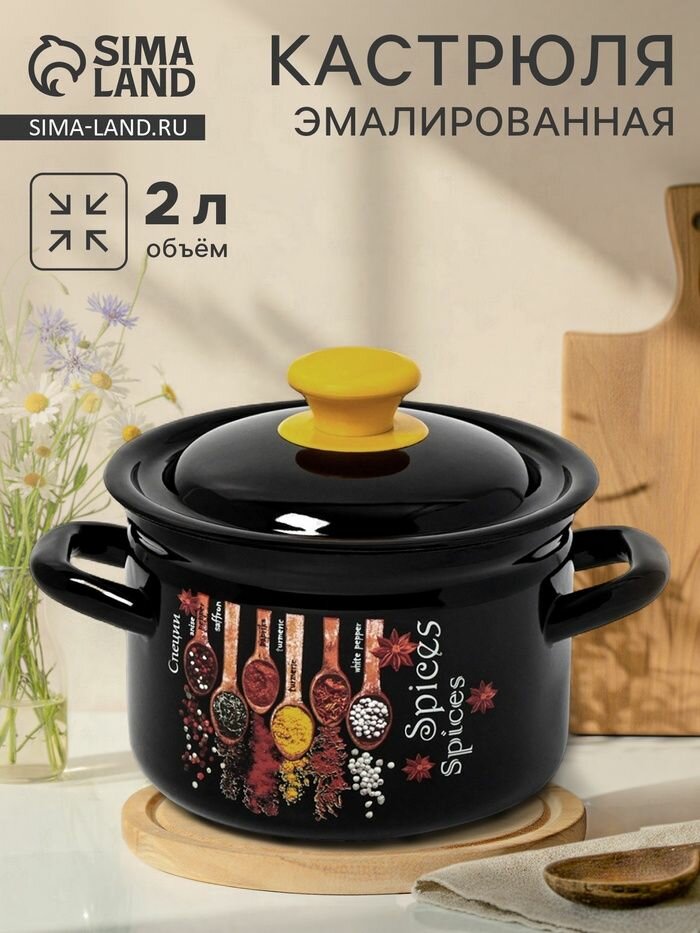 Кастрюля эмалированная Карри , 2 л, d 17 см, с крышкой, чёрная