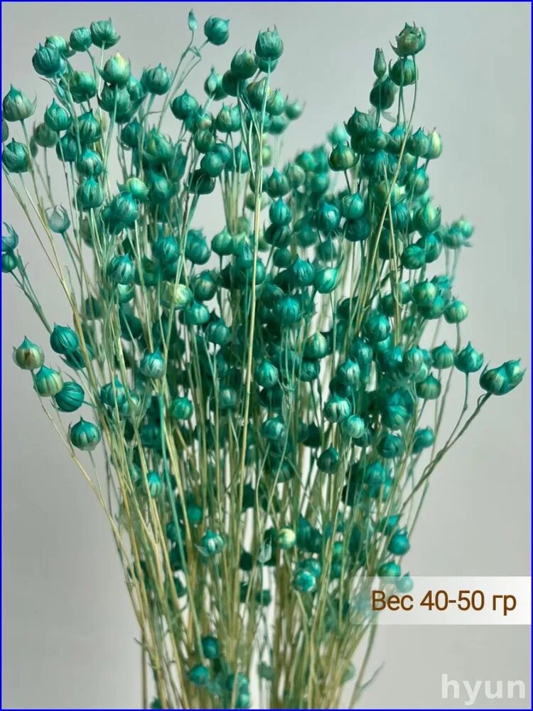 Стабилизированные цветы — фото 1