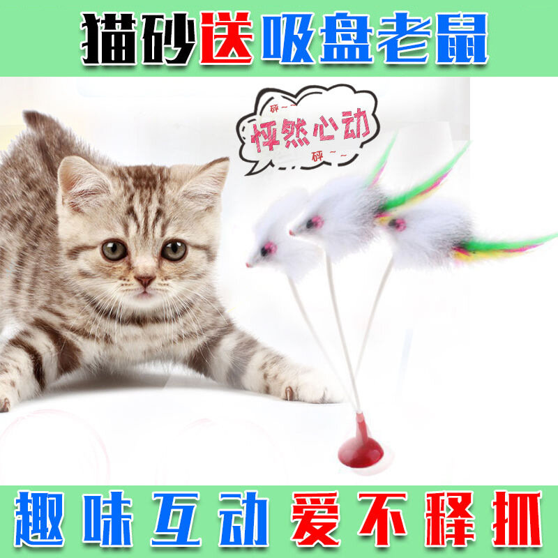 Бентонитовый наполнитель для кошачьих туалетов 5 кошек / 10 кошек / 20 кошек Крупный дизайн частиц Не легко вынимать Быстро слипается Сильное водопоглощение и дезодорация