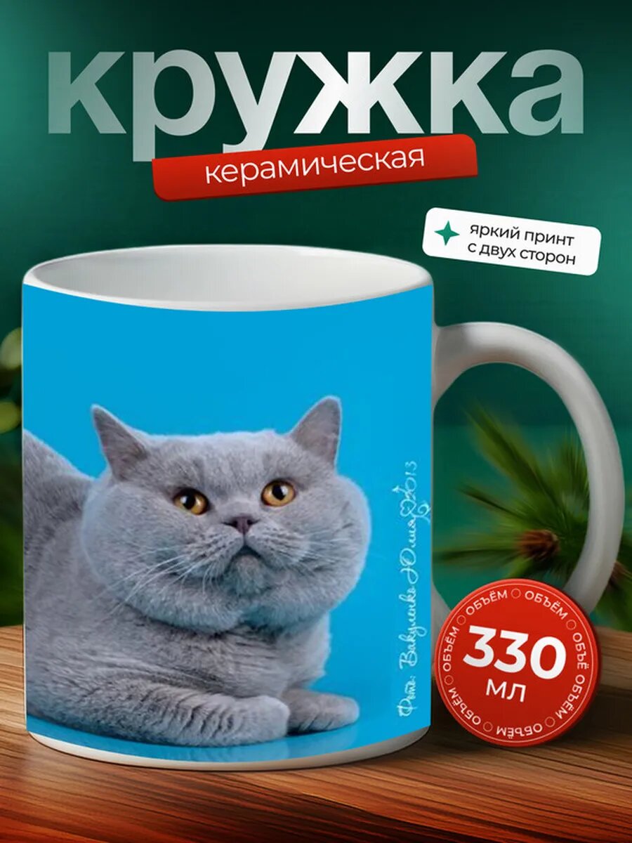 Кружка Американский рингтейл кот 37,