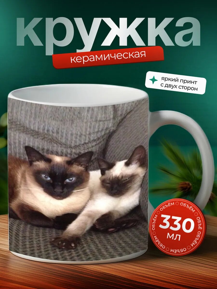 Кружка Азиатская табби кошка 59,