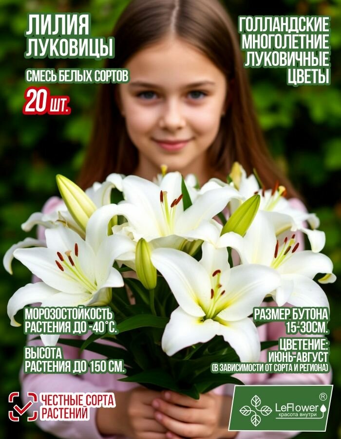 Лилия, Микс белых сортов, 20шт