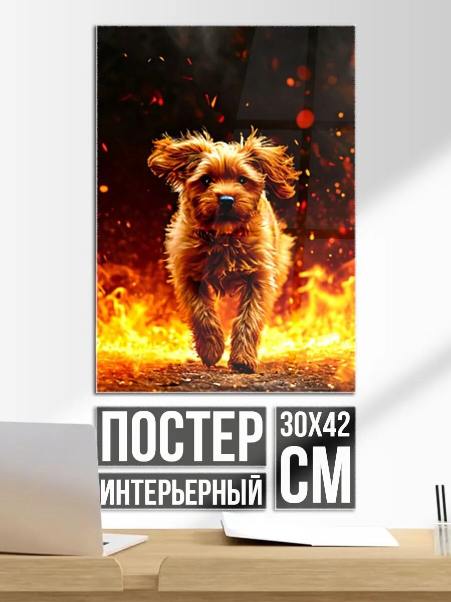 Постер на стену Болонка в огне