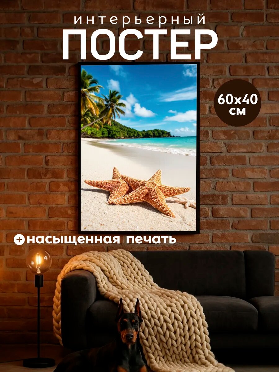 Постер для интерьера 40х60 Морская звезда