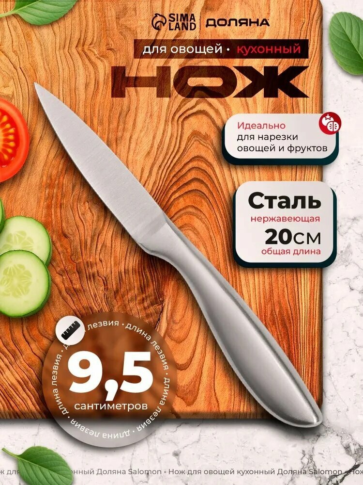 Нож для овощей кухонный Доляна, лезвие 9.5 см, серебристый