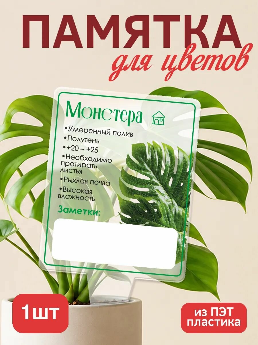 Памятка по уходу за цветами Монстера