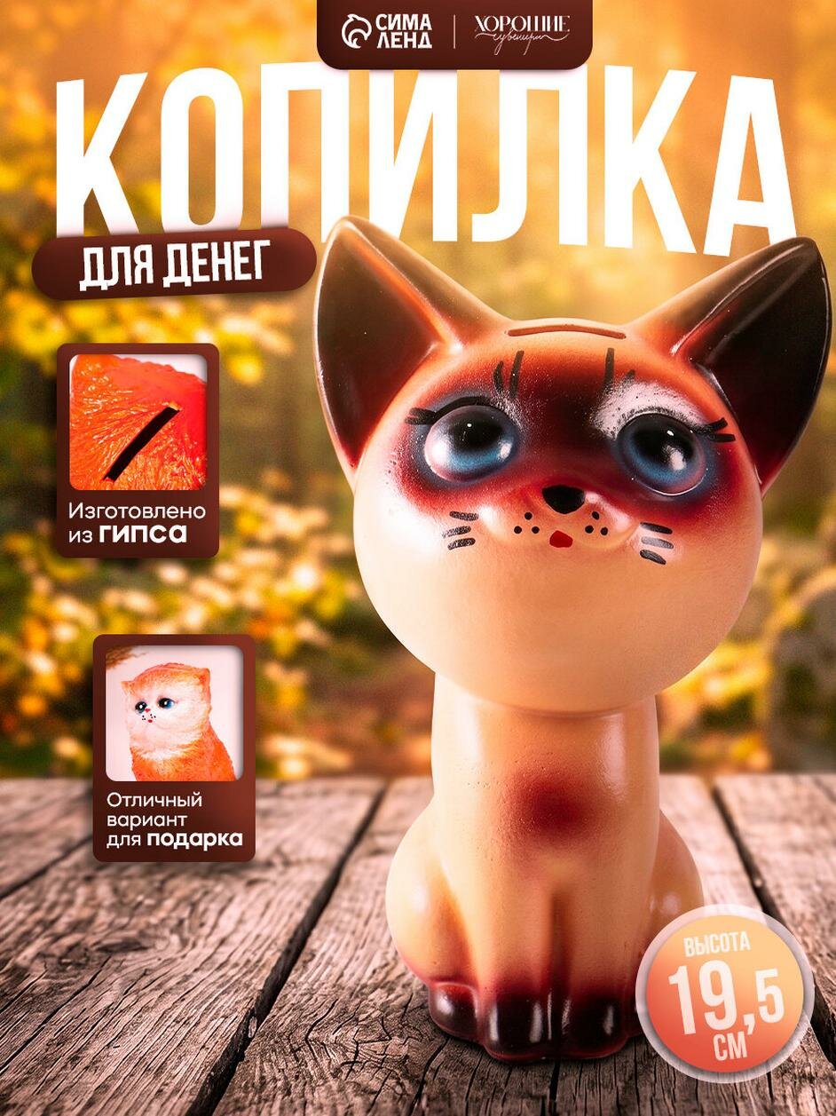 Копилка для денег "Котенок сиамский", гипс, размер 19.5×12×12.5 см