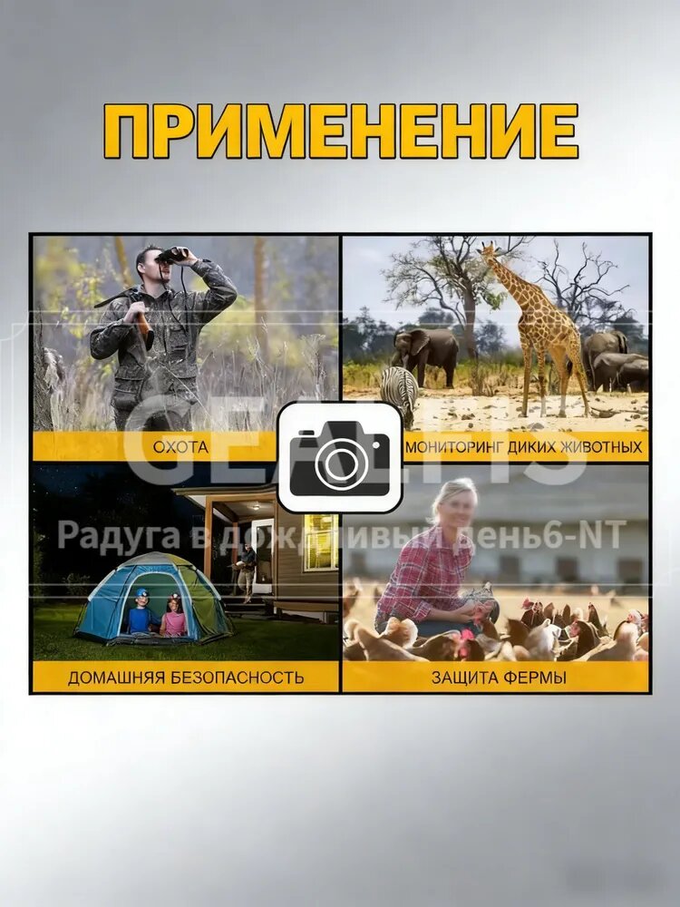 Фотоловушка — фото 1