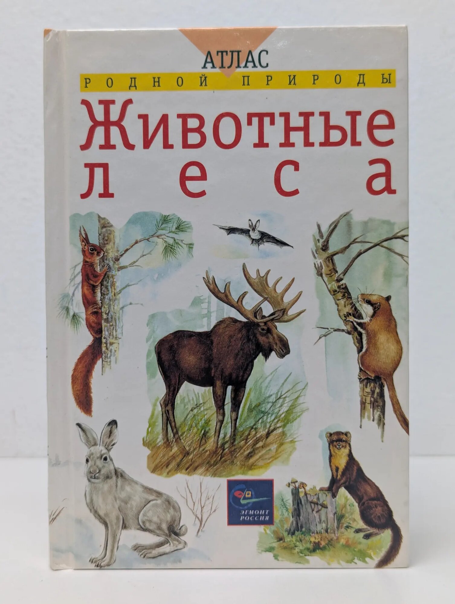 Атлас родной природы. Животные леса Бровкина Евгения Тихоновна, Сивоглазов Владислав Иванович 2000