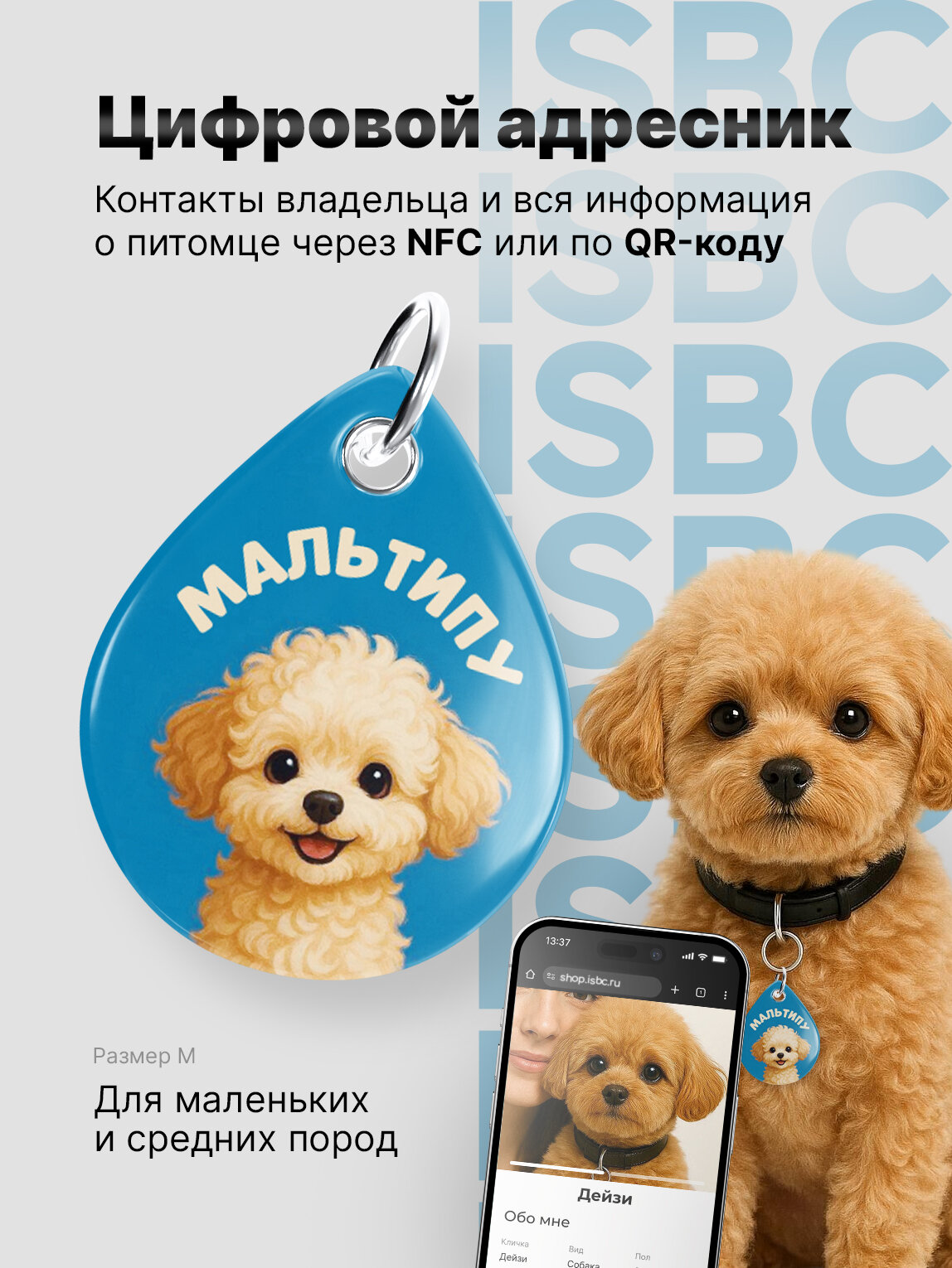 Цифровой Адресник для собак от ISBC с NFC и QR-кодом, Мальтипу, арт. 006-94918
