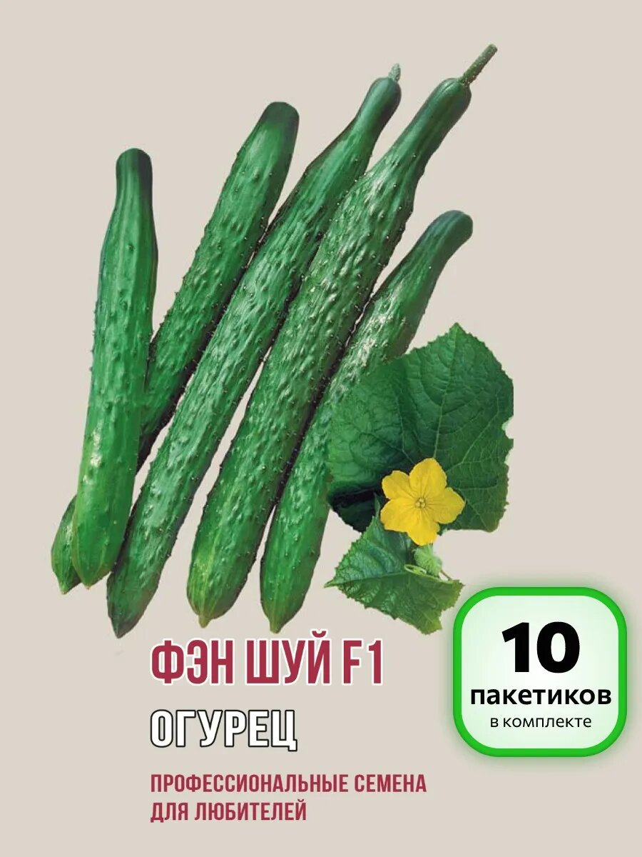 (10 шт.) - Семена Огурец ФЭН ШУЙ F1 5 шт
