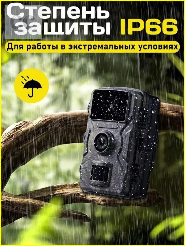 Фотоловушка