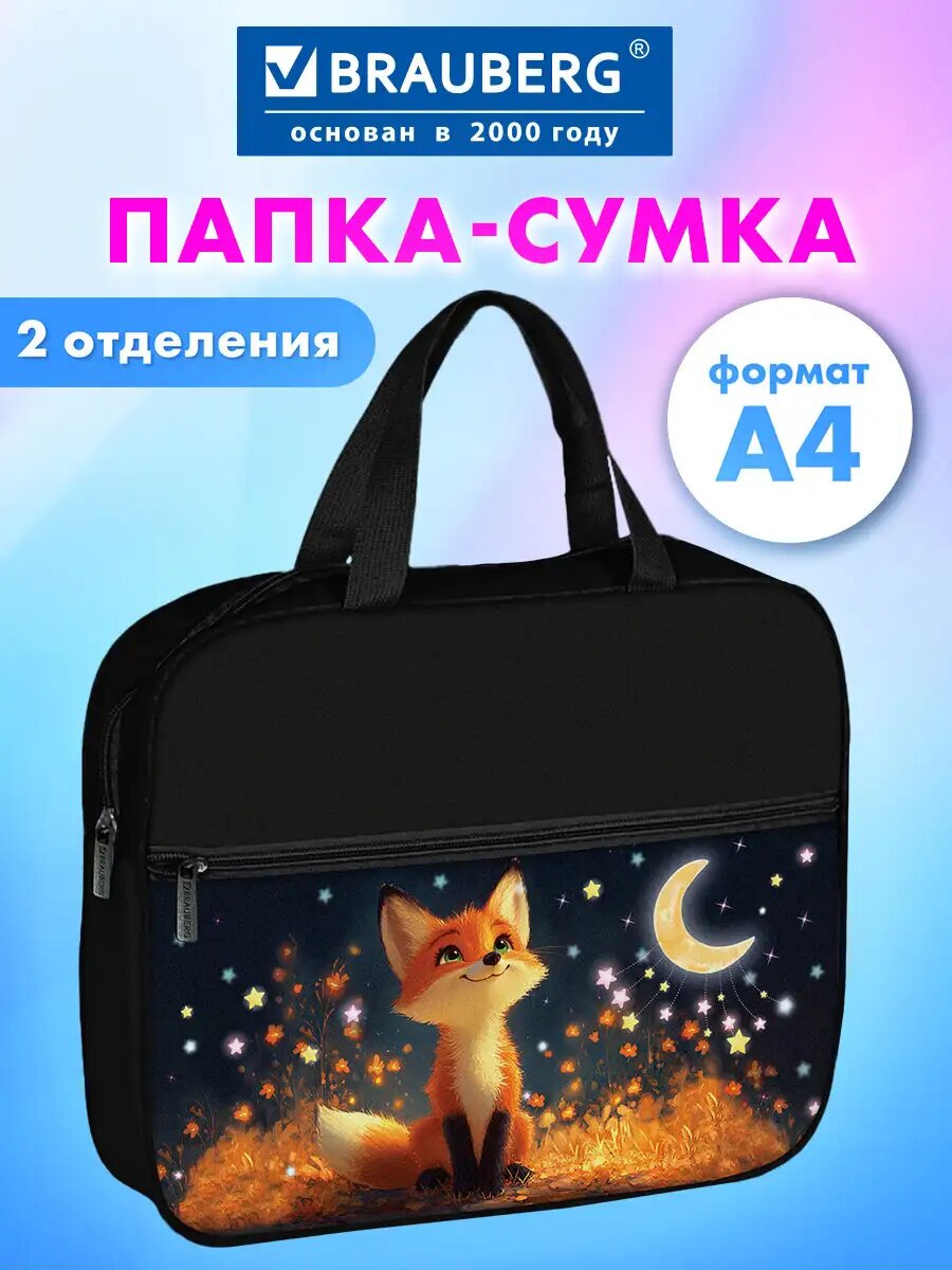 Папка сумка для тетрадей, труда, рисования и изо А4 для девочки на молнии с ручками для школы, Brauberg, 274500