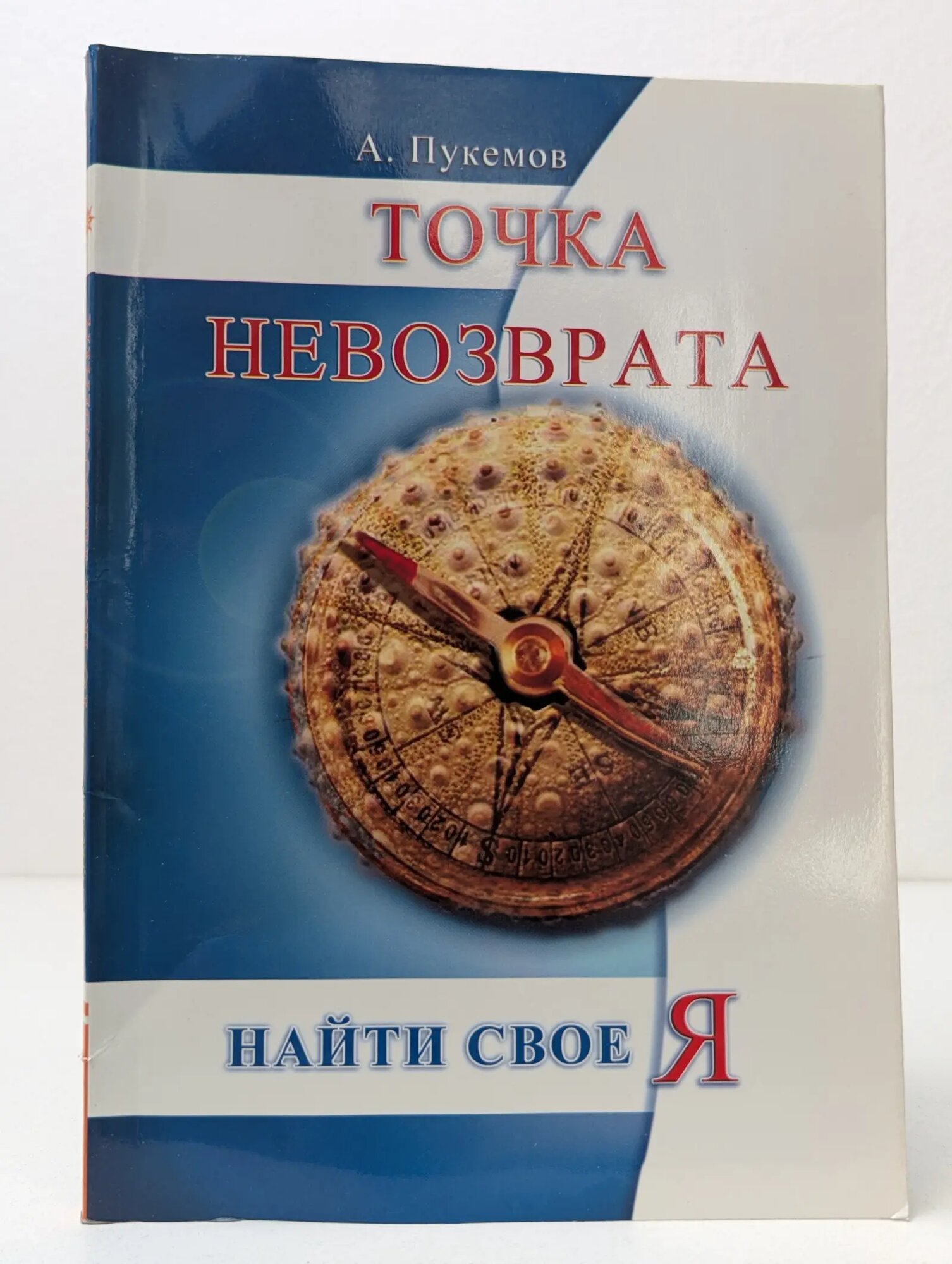 Точка невозврата. Найти свое я Пукемов Александр Тимофеевич 2011