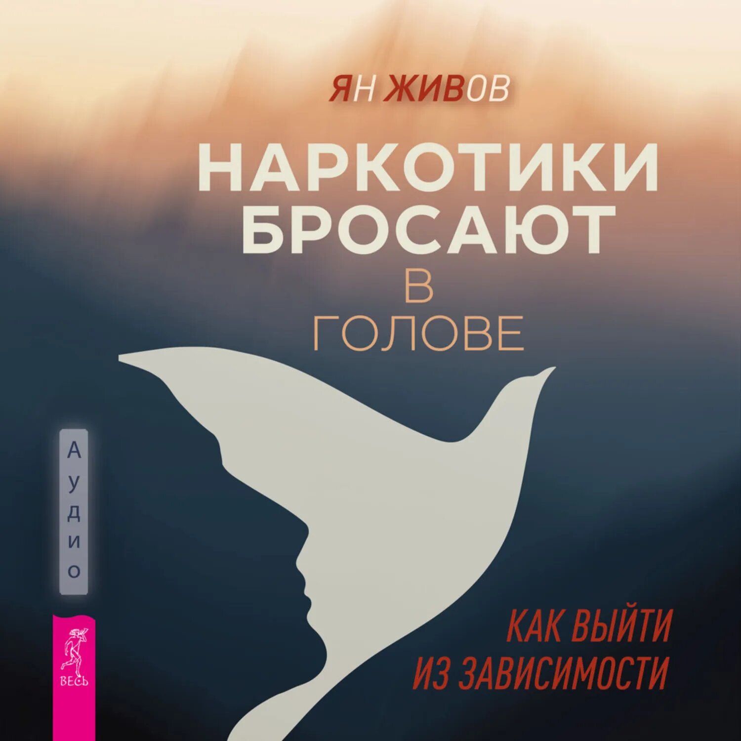 Наркотики бросают в голове. О трезвости и внутренней силе. Как выйти из зависимости [Аудиокнига]