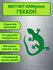 Магнит "Геккон"