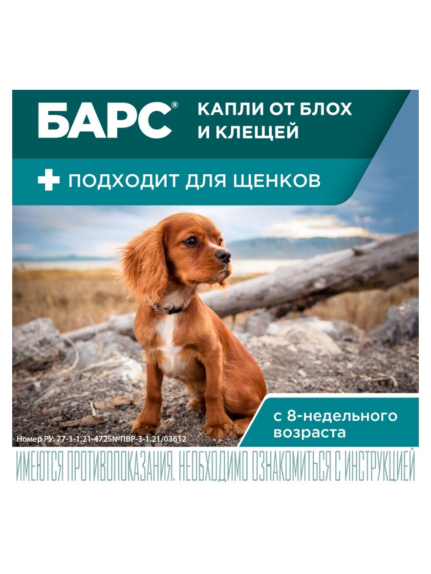 Капли Авз (агроветзащита) Барс ( до 10кг) инсектоакарицидные для собак, 1пип./уп. — фото 1