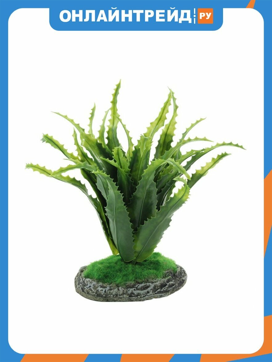 Растение Repti-zoo 19002REP "Алоэ", 20 см